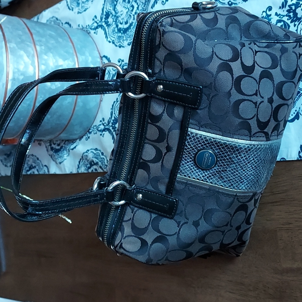 Coach Signature Stripe Python - Gem